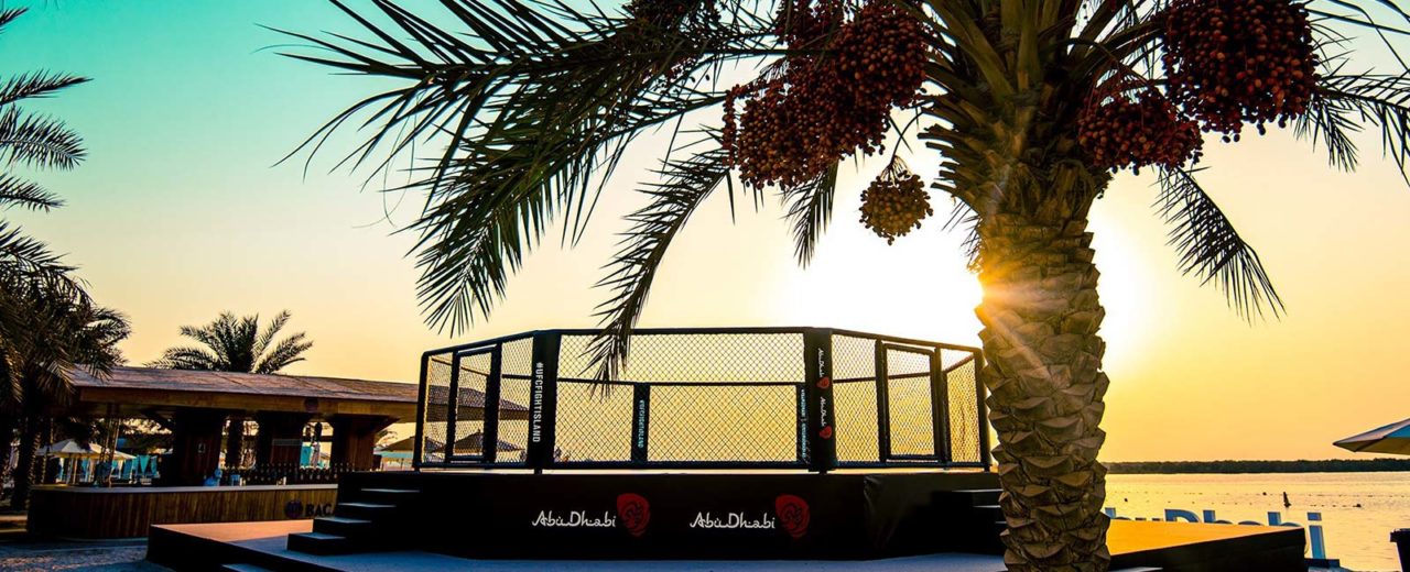 Case Study: UFC Fight Island Promotion - AccuraCast